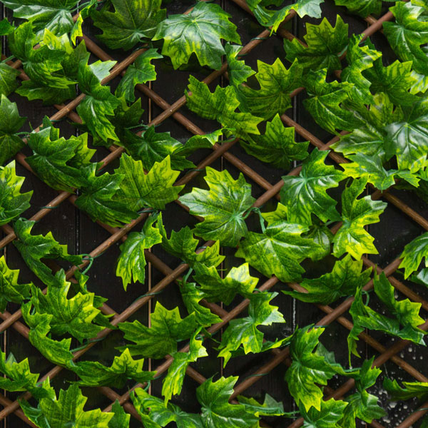 Trellis and Lattice – Lemon Fencing | Specialist in Essex